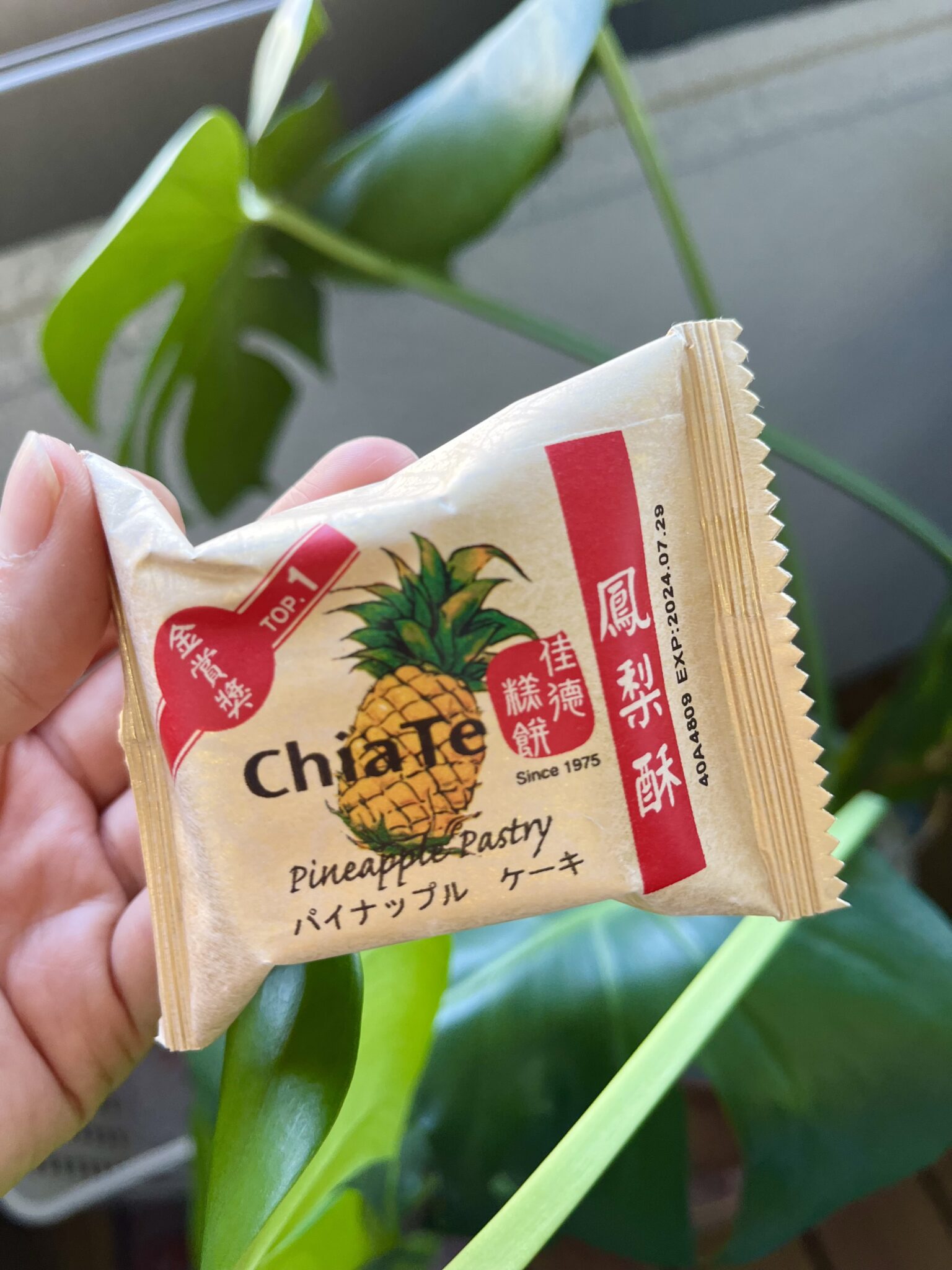 キムタクも食べた！台湾で人気の佳德（Chia Te）パイナップルケーキが激ウマ | さちこの台湾おでかけブログ